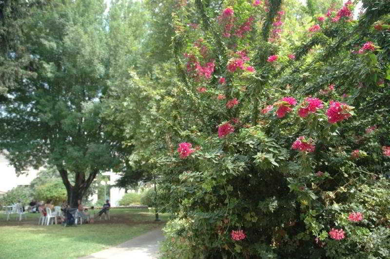 Hotel Kibbutz Kfar Giladi en Kfar Giladi | Destinia