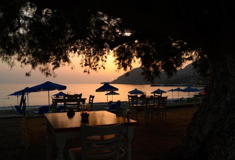 Hôtel Alianthos Beach - Plakias