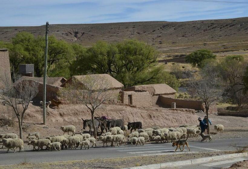 Albergue Posada Tika, Yavi en Yaví | Destinia