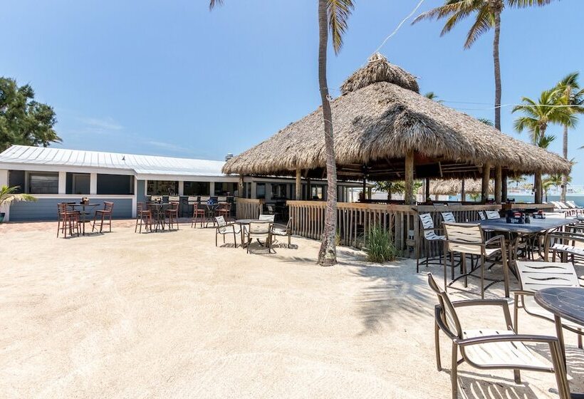 Fiesta Key Rv Resort en Long Key | Destinia