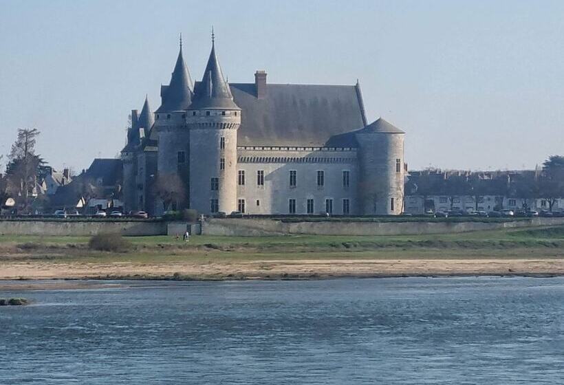 Hotel Logis Hôtel Sully Le Château - Sully-sur-Loire