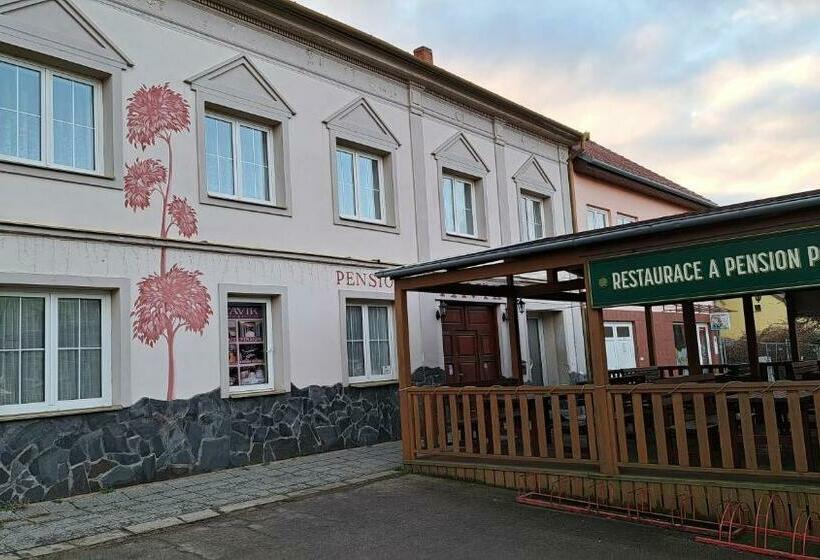 Pension Pavir, Blučina: las mejores ofertas con Destinia