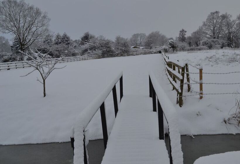 Bed and Breakfast Wortwell Hall Barn en Harleston | Destinia