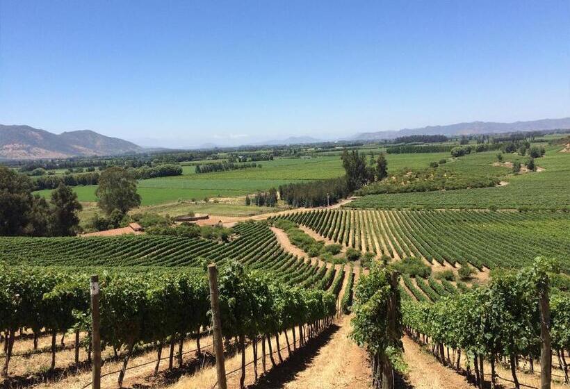 Hotel Noi Blend Colchagua - Colchagua