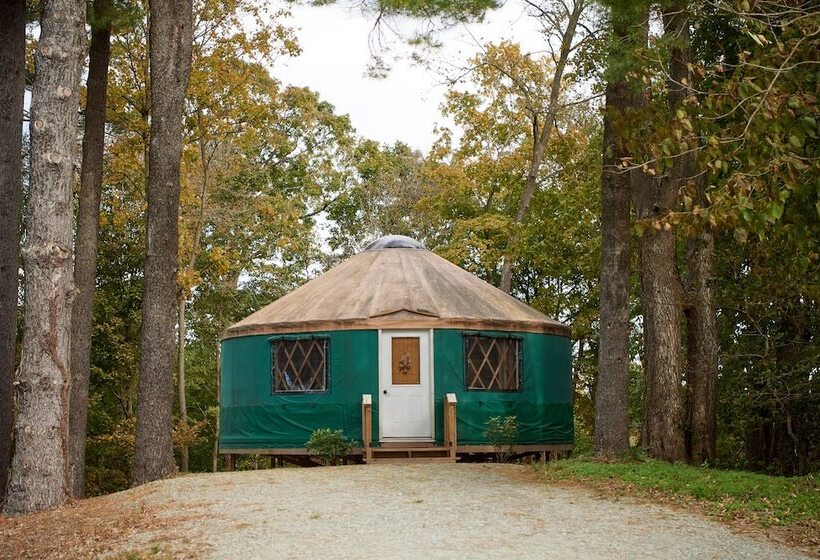 Hotel Circle M Rv & Camping Resort Caravan Park, Millersville: the best ...