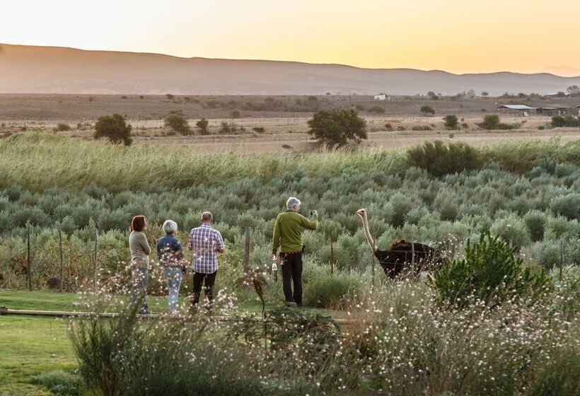Hotel De Denne Country Guest House - Oudtshoorn