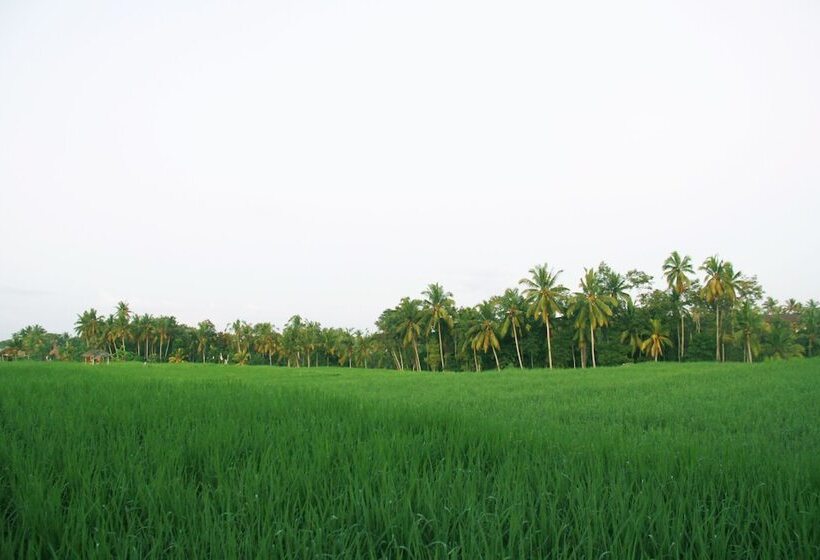 Green Fields Luxury Villas, hotel en Ubud - Nautalia Viajes