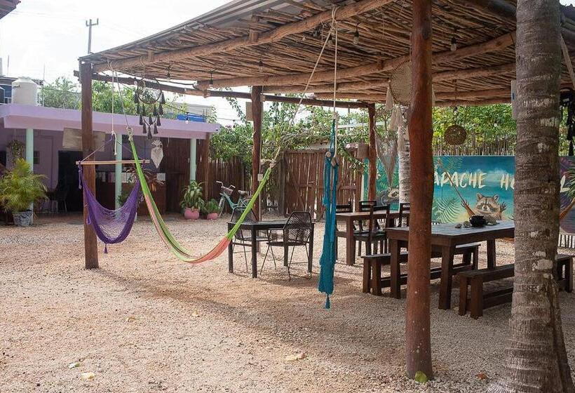 פנסיון Mapache Hostel & Camping ב- Holbox החל מ-11 US$